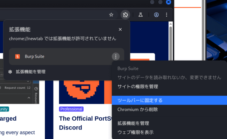 DOM Invaterを使ってDOM XSSを検出する - わたしのめいし